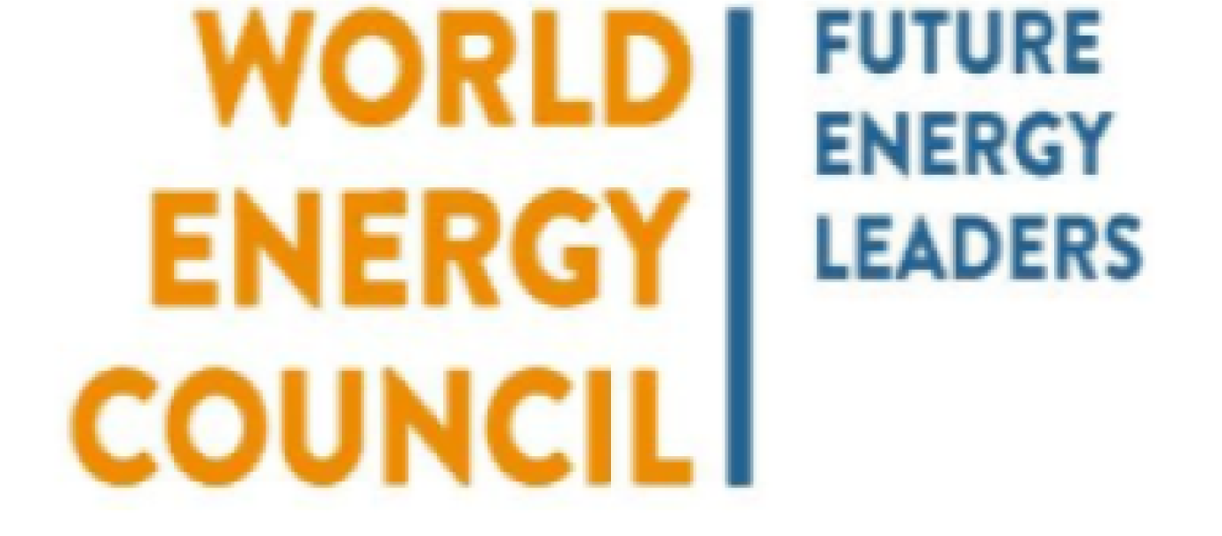 FEL-100: A Platform for new successful start-ups | World Energy Council