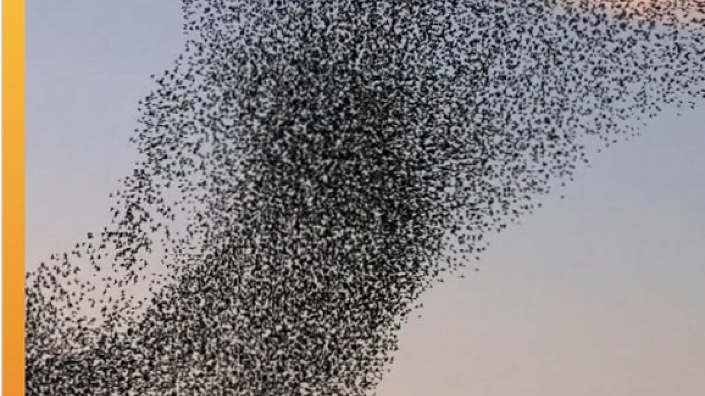 World Energy Scenario Foundations 2024 | World Energy Council